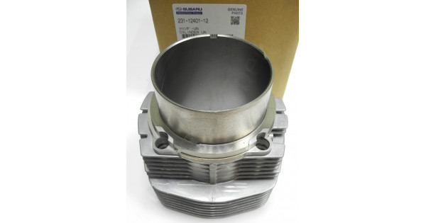 Купить Цилиндр двигателя Robin Subaru DY41, DY42(Оригинал) доставка по ...